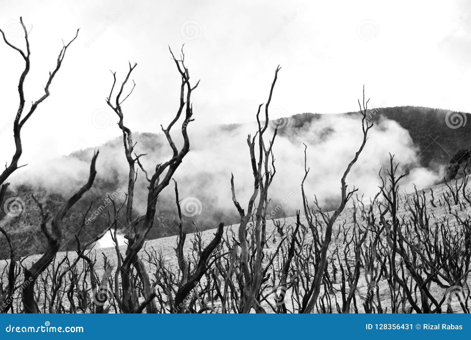 Dead Forests in the Mountains Stock Image - Image of clouds, indonesia ... Dead Forests in the Mountains Stock Image - Image of clouds, indonesia ...