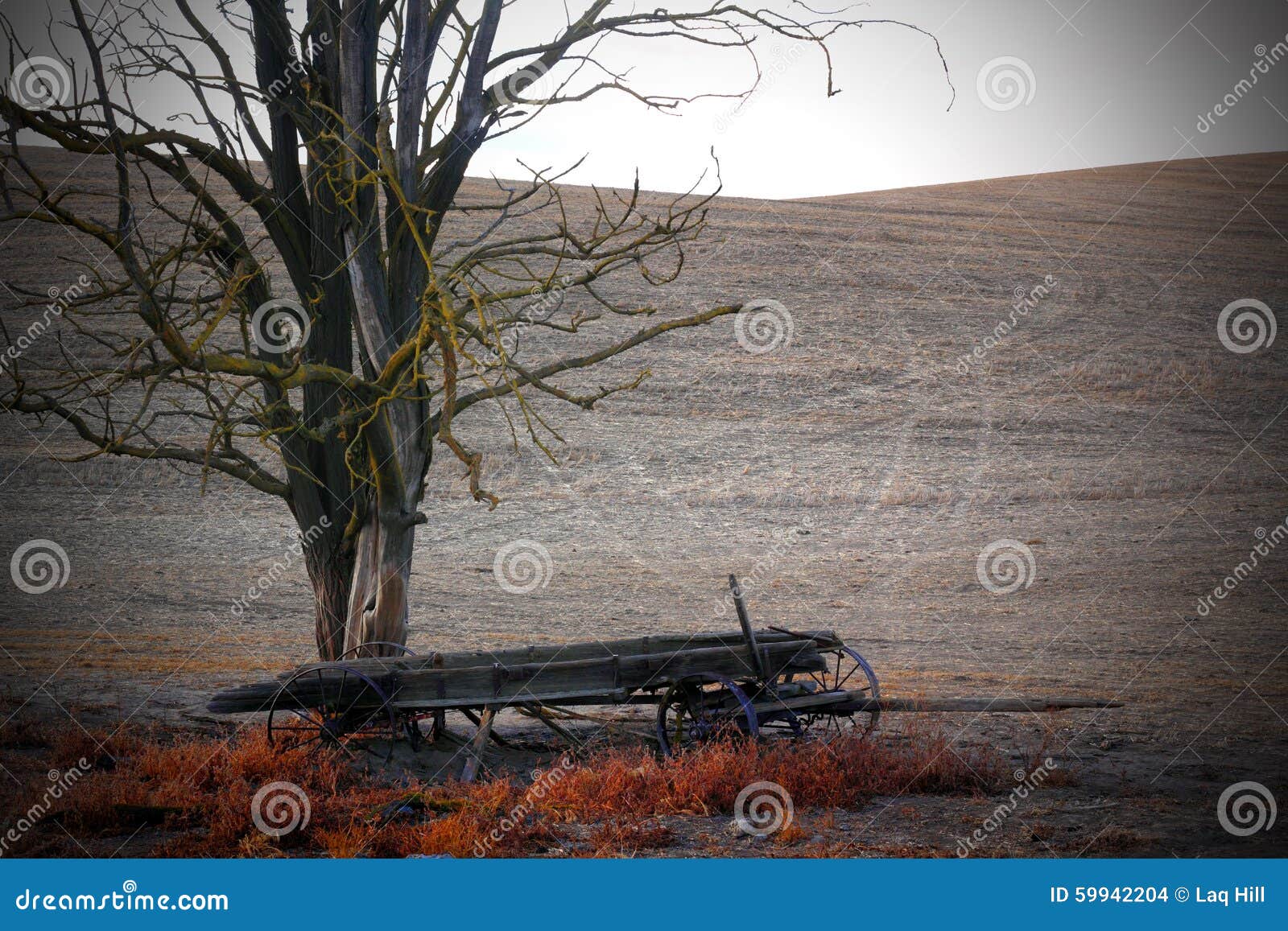 Dead Frontier Wagon stock photo. Image of delinquent - 59942204 Dead Frontier Wagon stock photo. Image of delinquent - 59942204