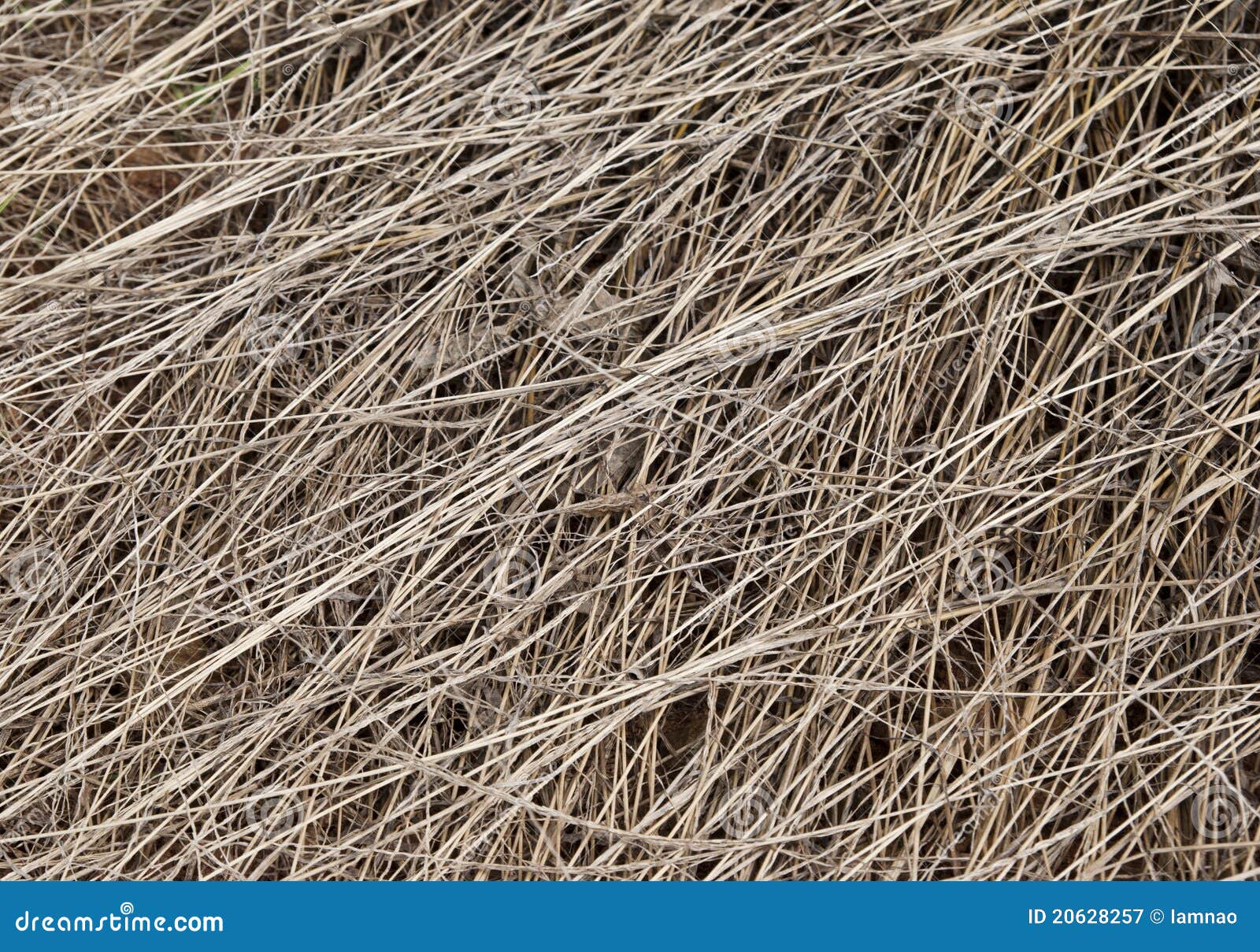 Dead Grass Texture Royalty Free Stock Photography - Image: 20628257