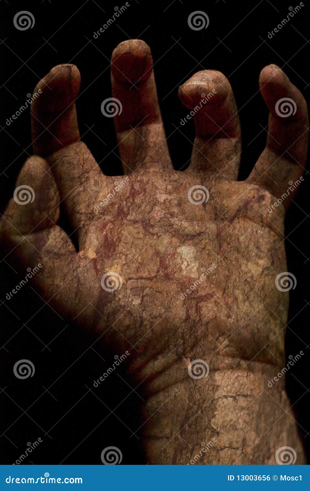Dead hand stock photo. Image of wound, grooves, dead - 13003656