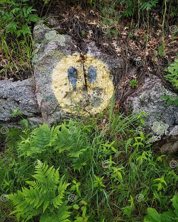 Dead happy face stock image. Image of happy, face, forest - 175646269