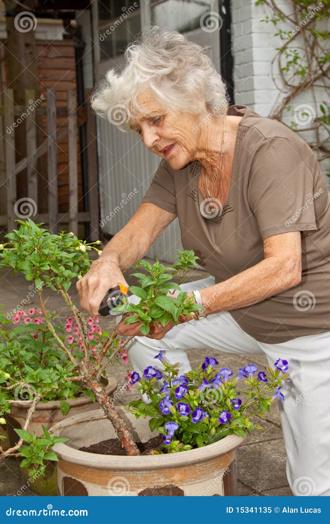 Grandma Photo Dead Stock Photos - Free & Royalty-Free Stock Photos from ...