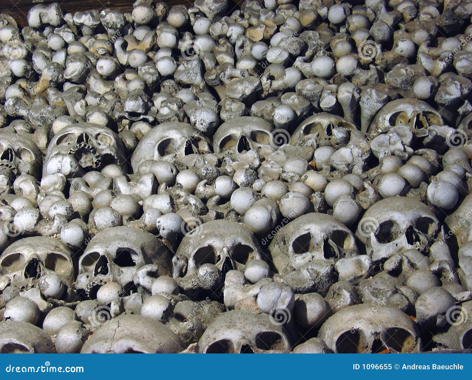 Dead heads stock image. Image of death, hora, inhumanity - 1096655