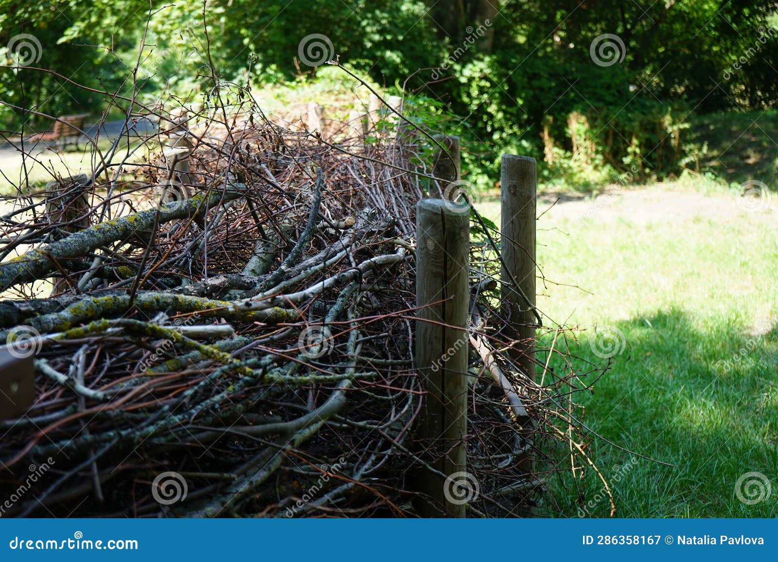 The Dead Hedge is Located in the Vicinity of the Wuhle River in the ...