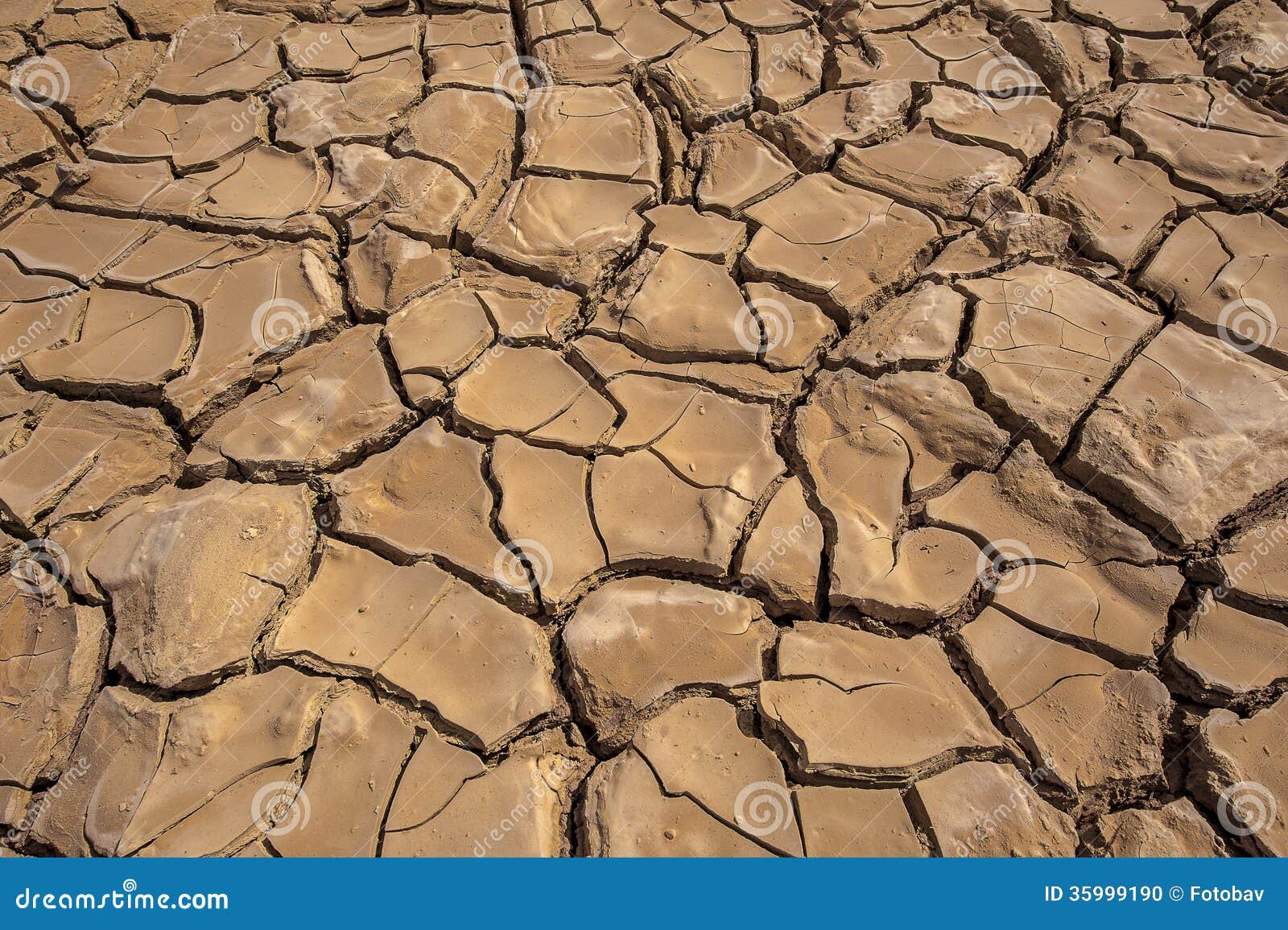 Dead land stock photo. Image of brown, feature, abstract - 35999190