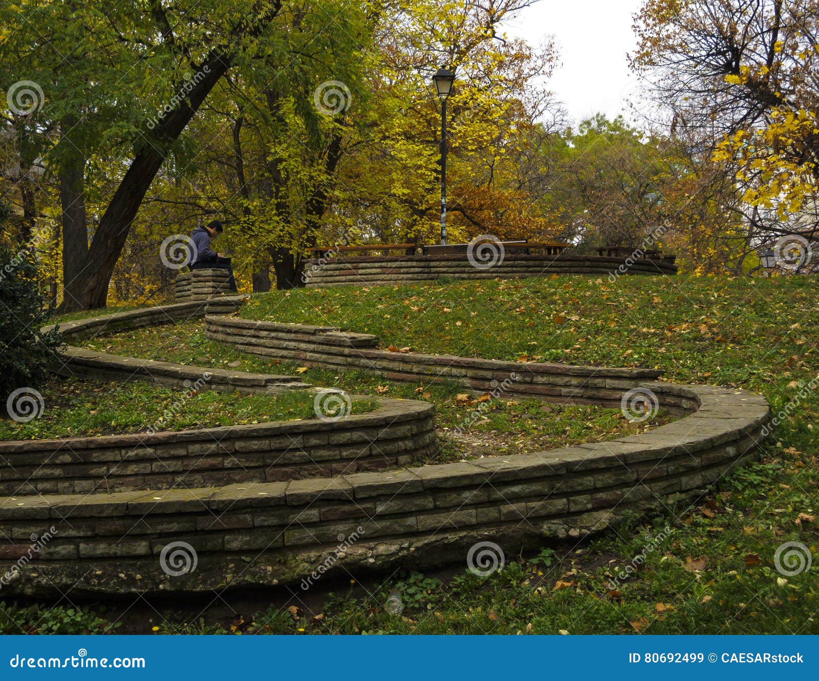 Dead Leaves in Autumn in Park in Sofia, Bulgaria Editorial Stock Image ...