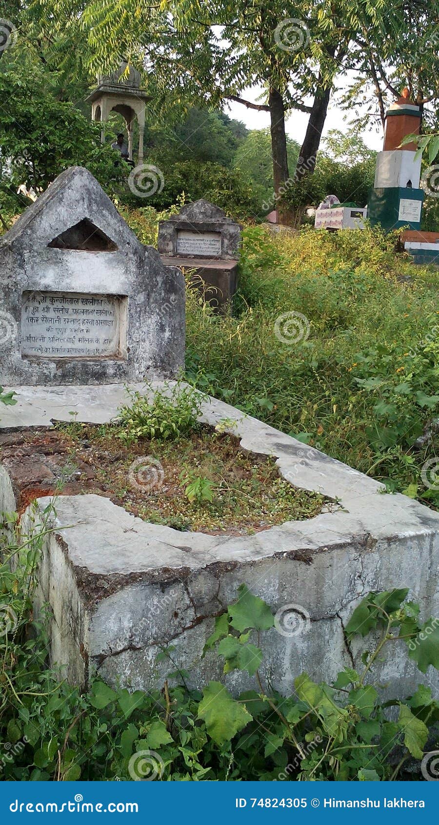 Dead editorial image. Image of life, dead - 74824305