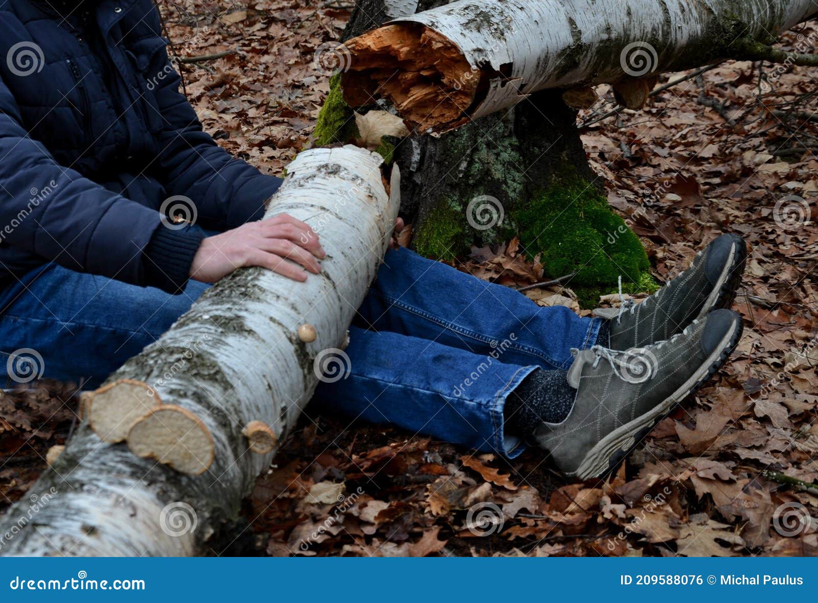 Dead Man Covered with a Tree. the Tree Turned Upside Down and Injured ...