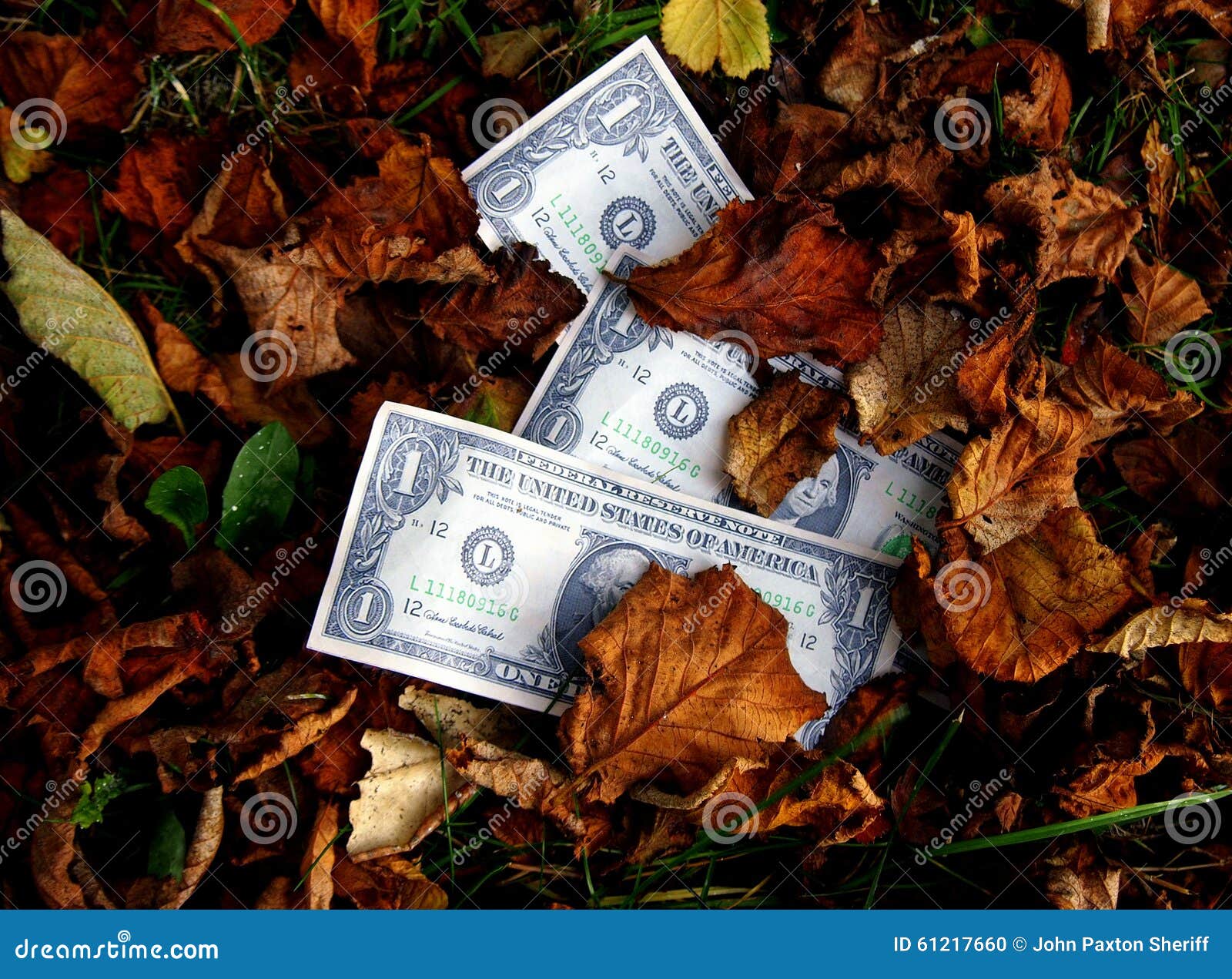 Dead Money stock photo. Image of money, economy, bankrupt - 61217660