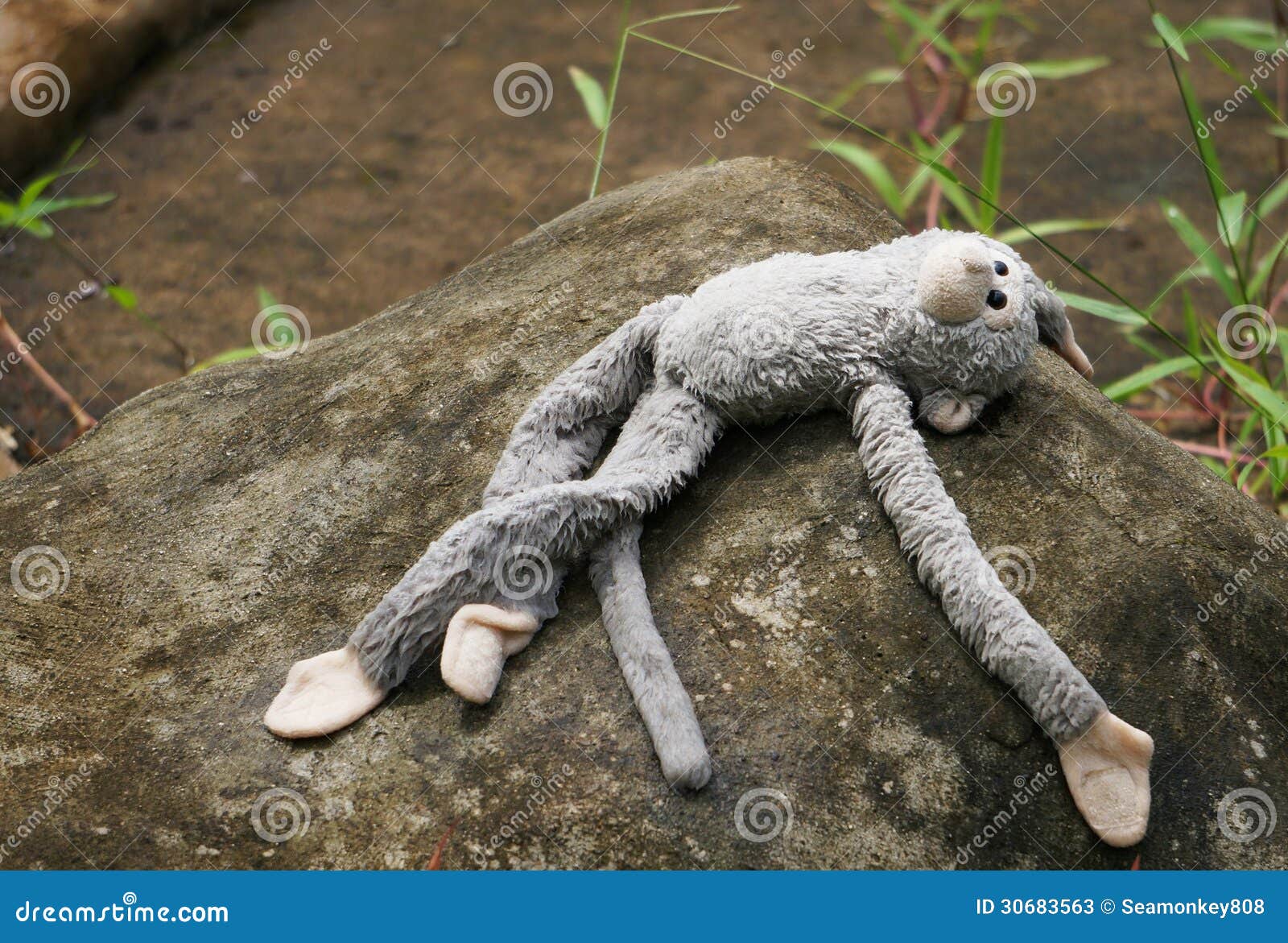 Dead monkey stock image. Image of addict, smoke, alcohol - 30683563