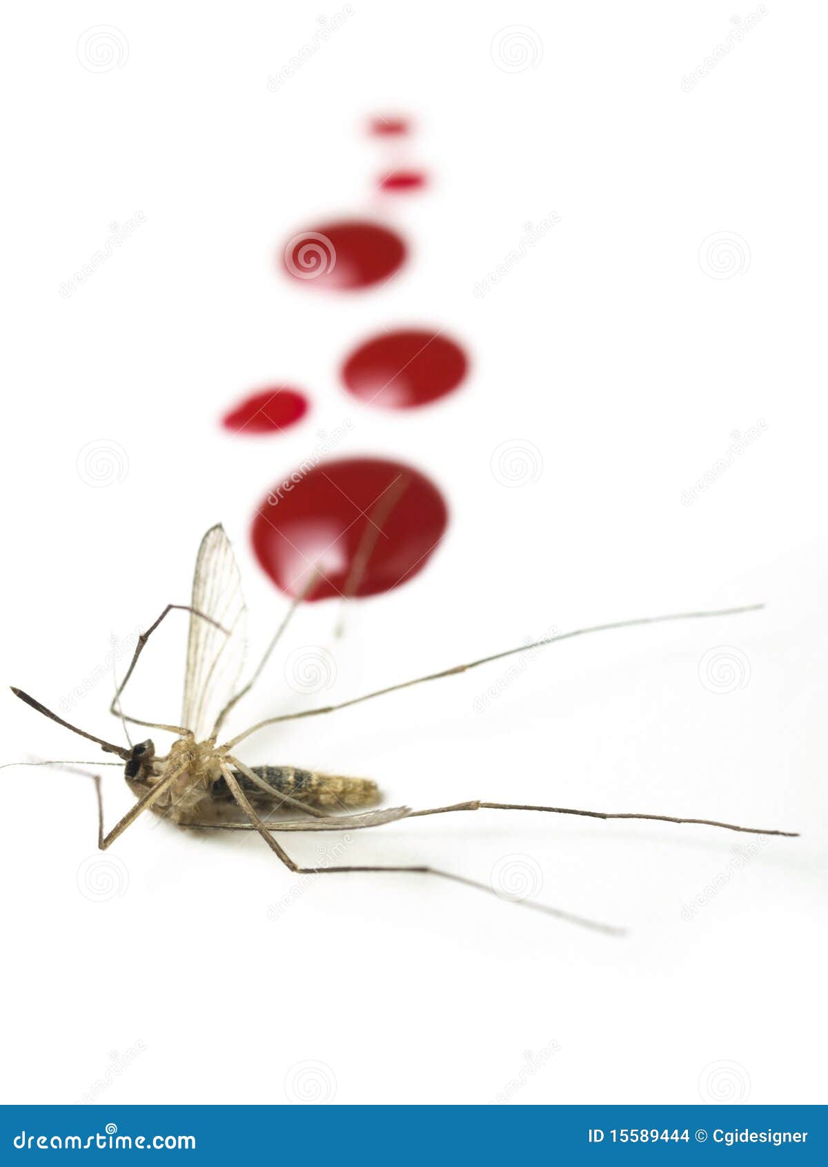 Dead mosquito stock photo. Image of life, selective, insect - 15589444