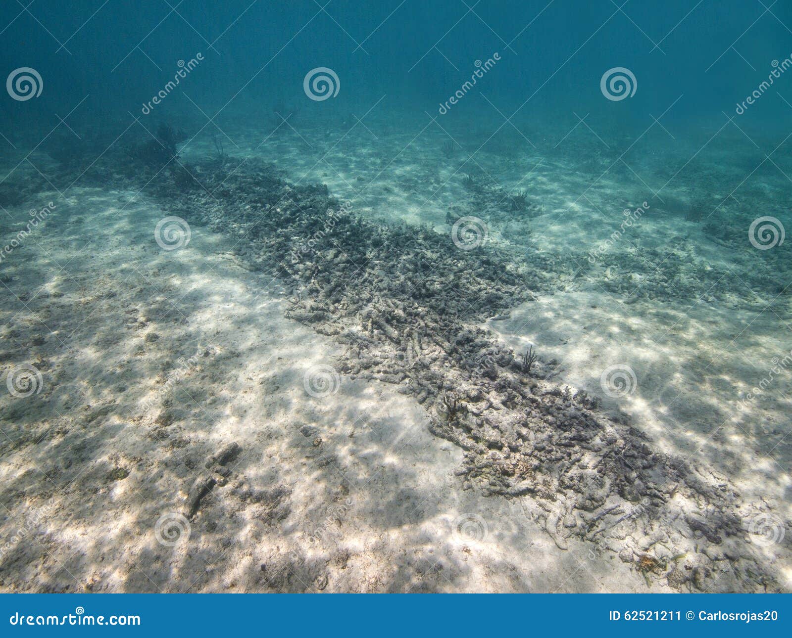 Dead Reef stock image. Image of line, nature, water, global - 62521211