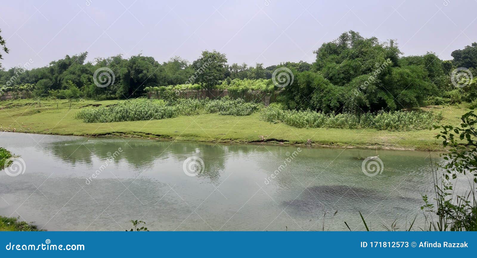 Dead River but Looking Beautiful Mathabhanga Stock Image - Image of ...