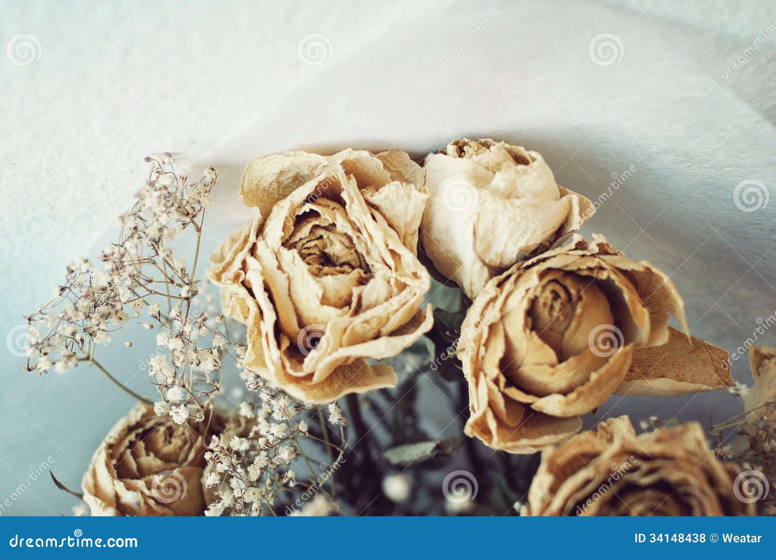 Dead Roses Bouquet stock photo. Image of dead, beautiful - 34148438