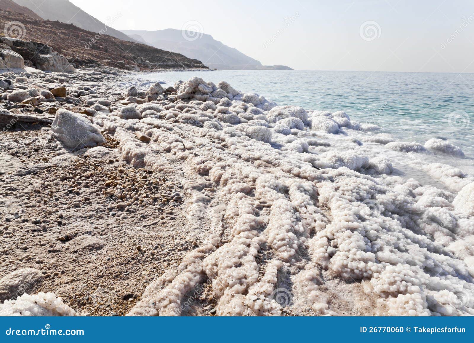 Dead sea coast, jordan stock photo. Image of concentrated - 26770060