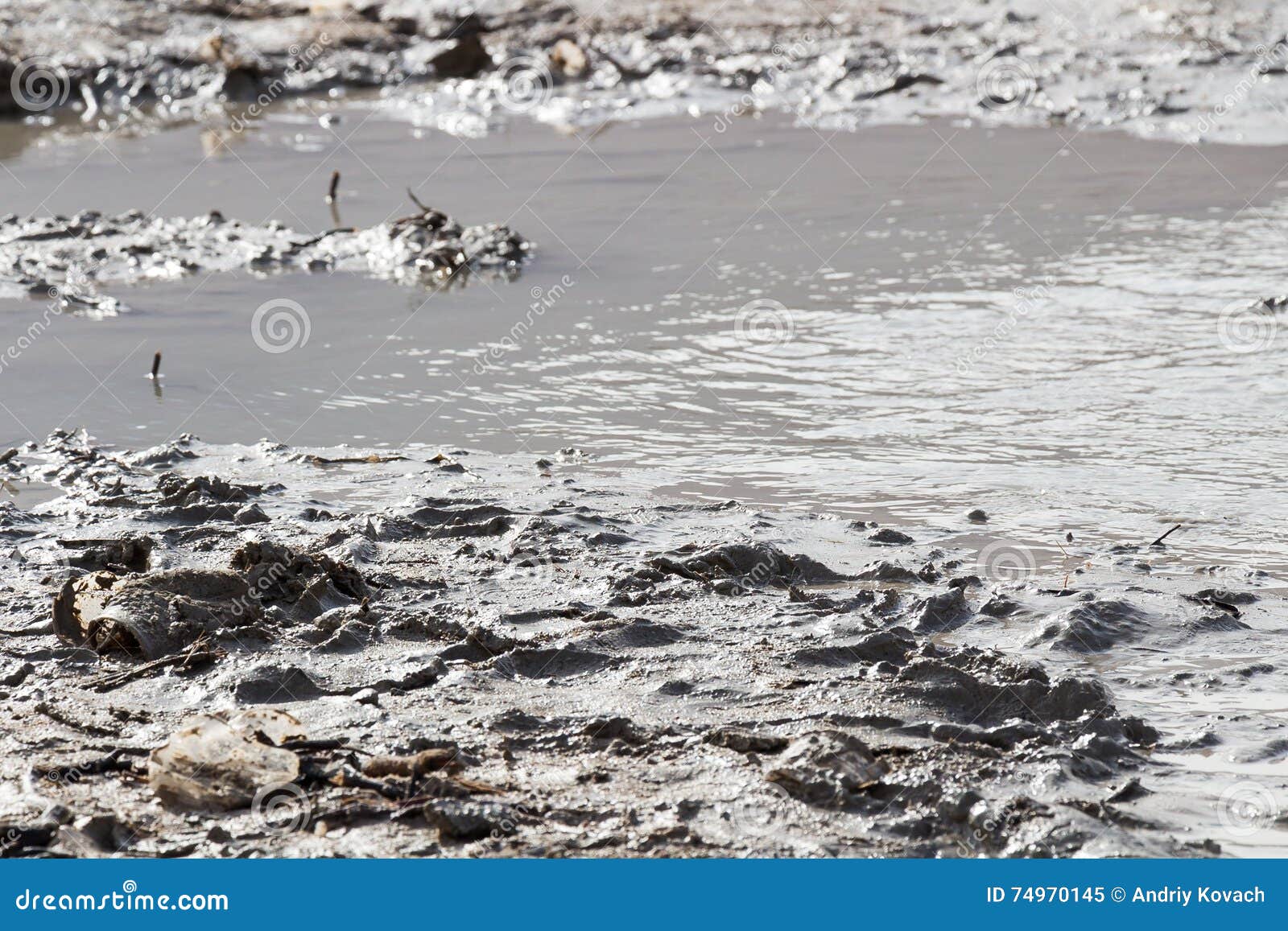 Dead Sea dirt in nature stock image. Image of ecology - 74970145