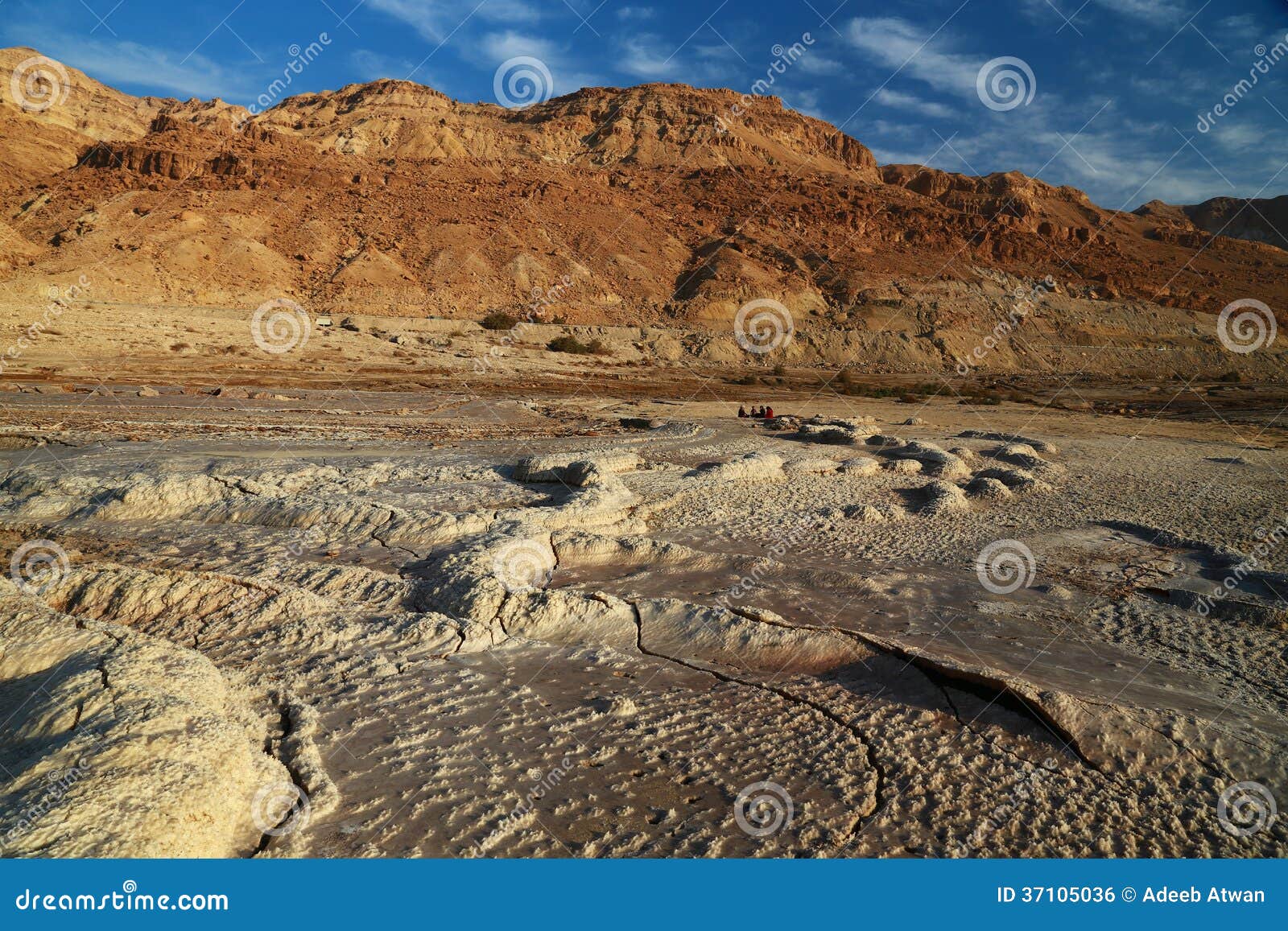 Dead Sea Forms stock photo. Image of salinity, evaporation - 37105036