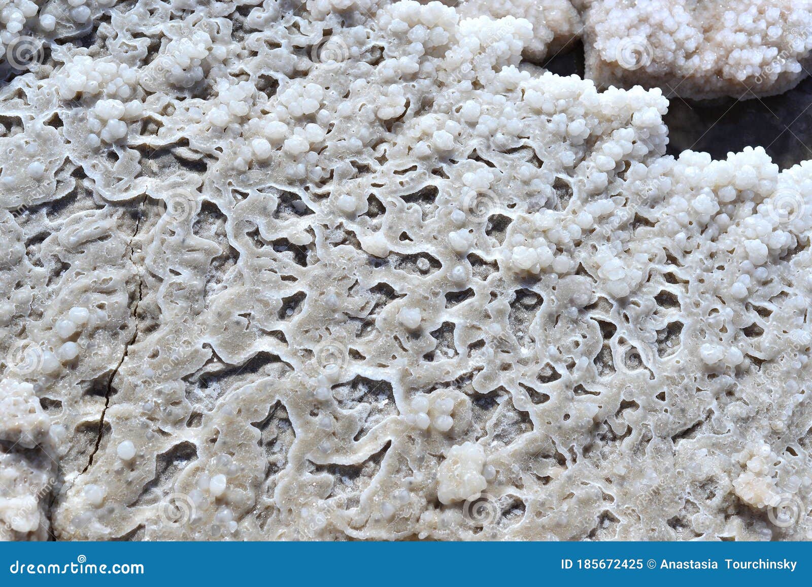 Dead Sea Salt Crystals Mineral Formation Stock Image - Image of natural ...