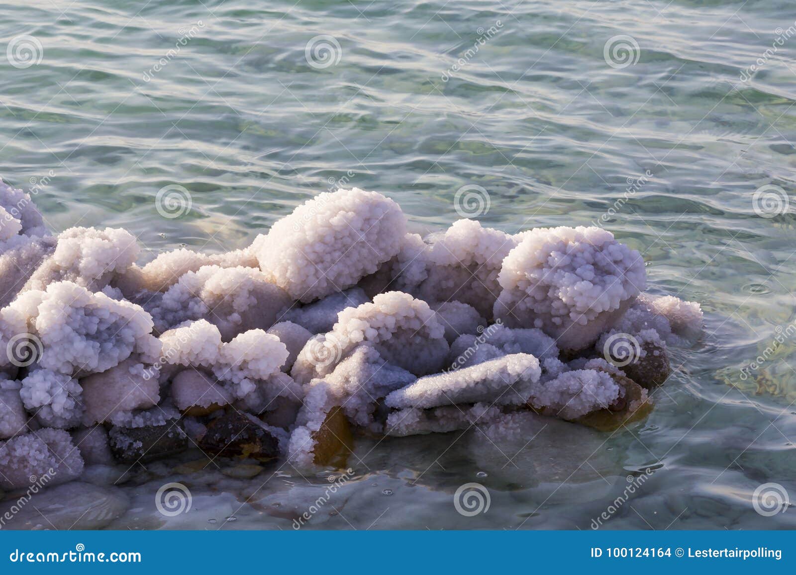 Dead Sea Salt Deposits Stones Stock Photo - Image of coast, coastline ...