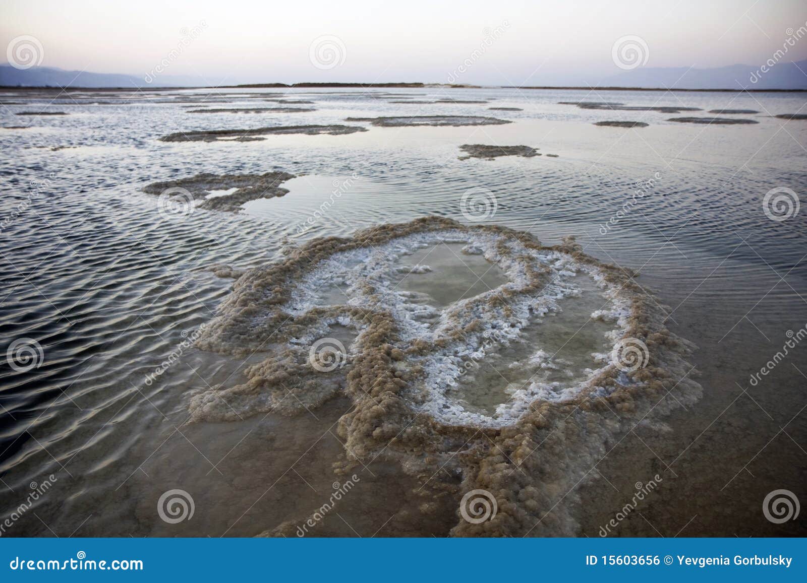 Dead sea salt and water stock photo. Image of beautician - 15603656
