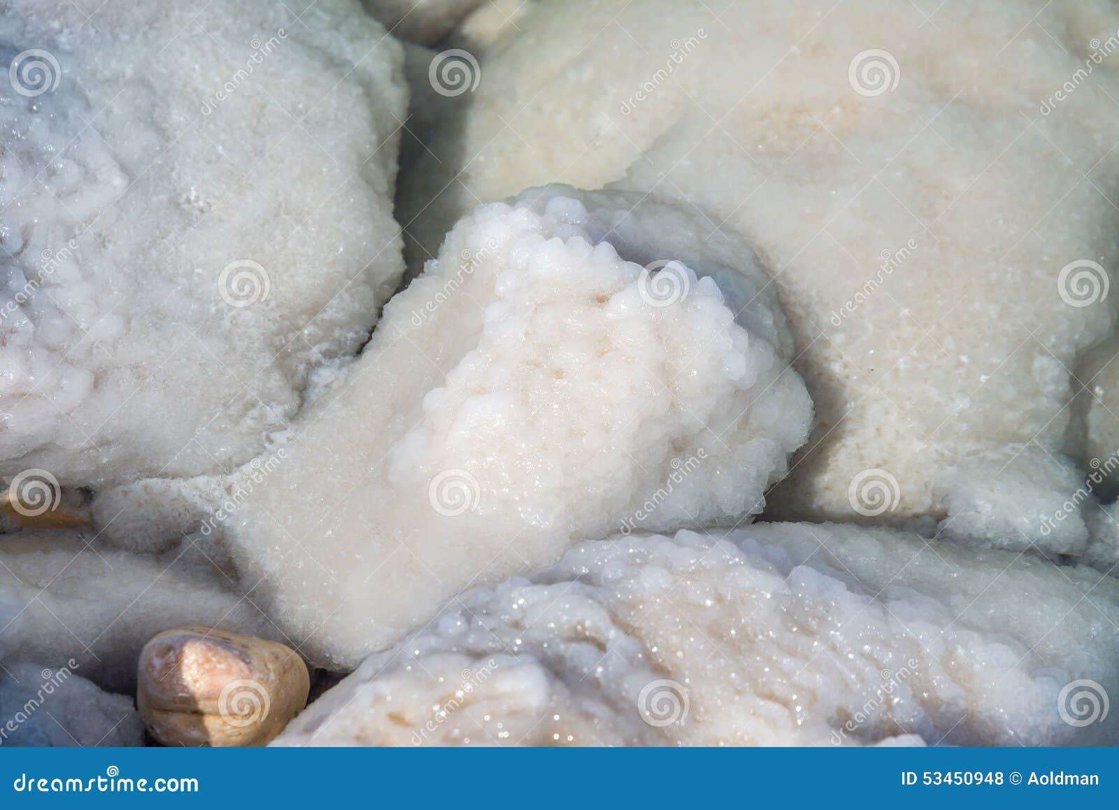 Dead Sea salty rocks stock photo. Image of palestine - 53450948