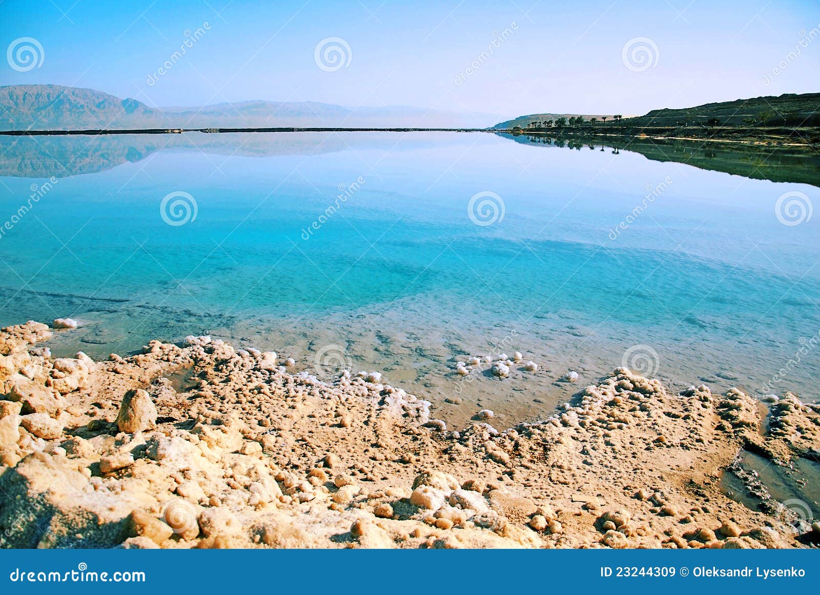 Dead Sea shore stock image. Image of nature, bright, suntan - 23244309