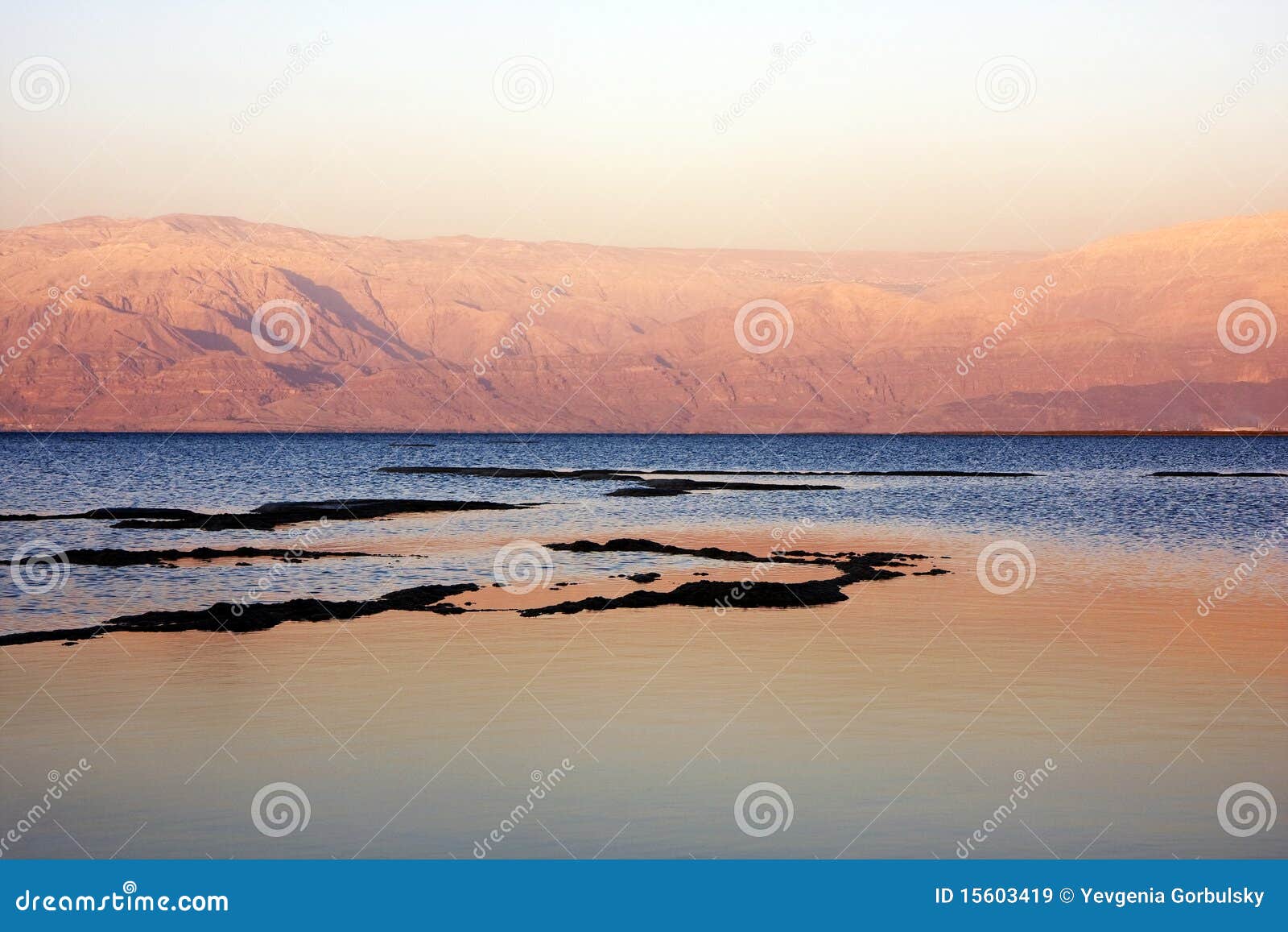 Dead sea at sunset stock image. Image of bottom, east - 15603419
