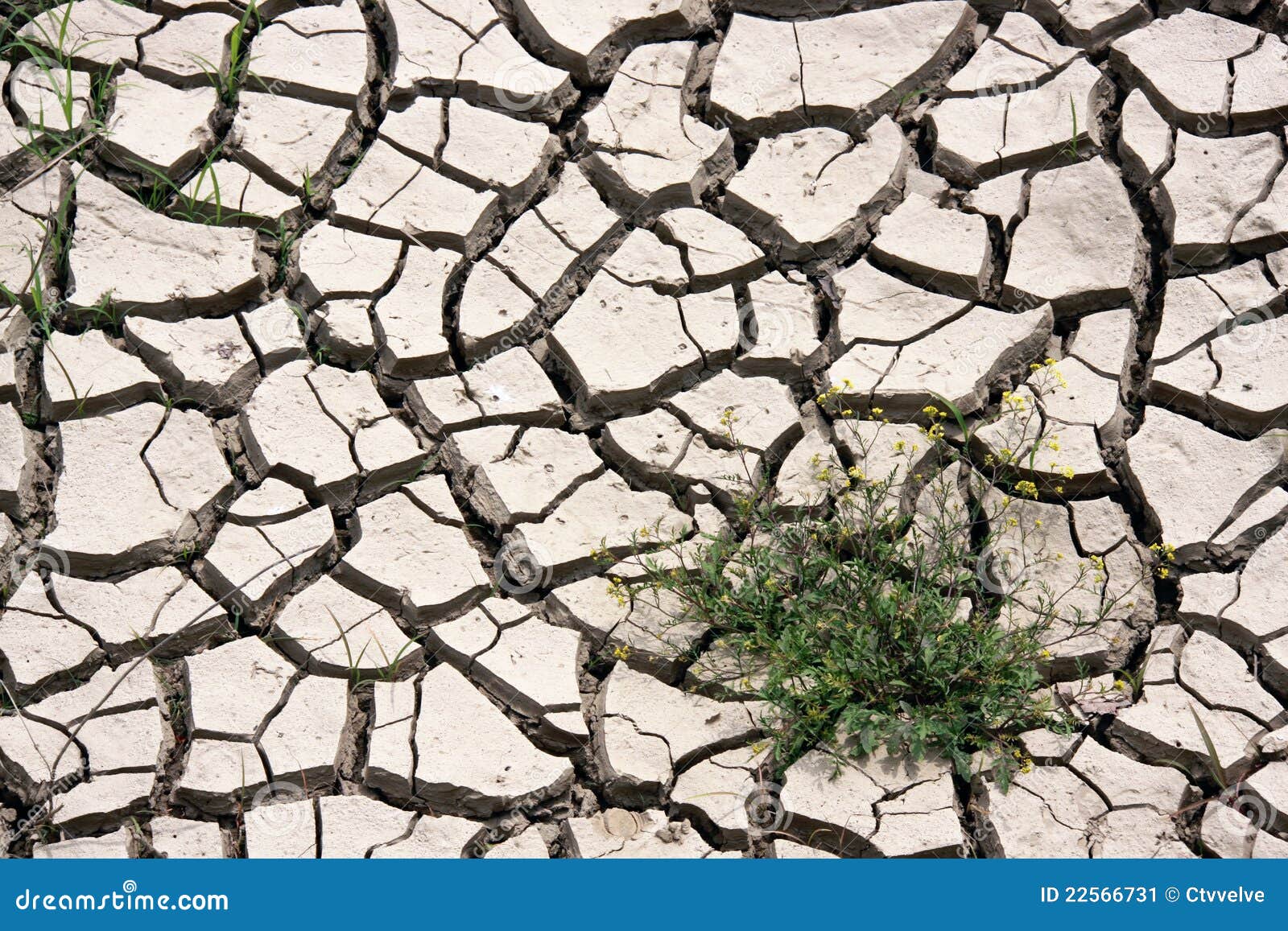 Dead soil stock image. Image of brown, abstract, dryness - 22566731