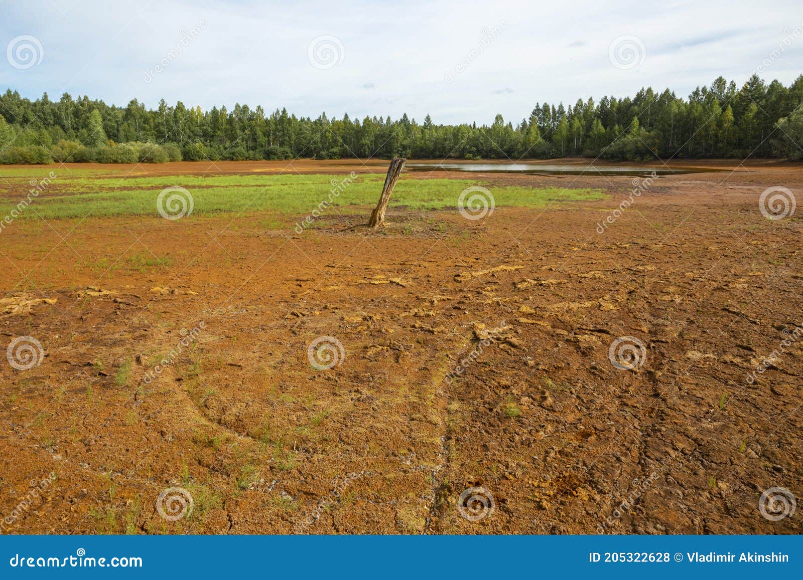 Dead Soil Remaining after Storage in the Sump Stock Photo - Image of ...
