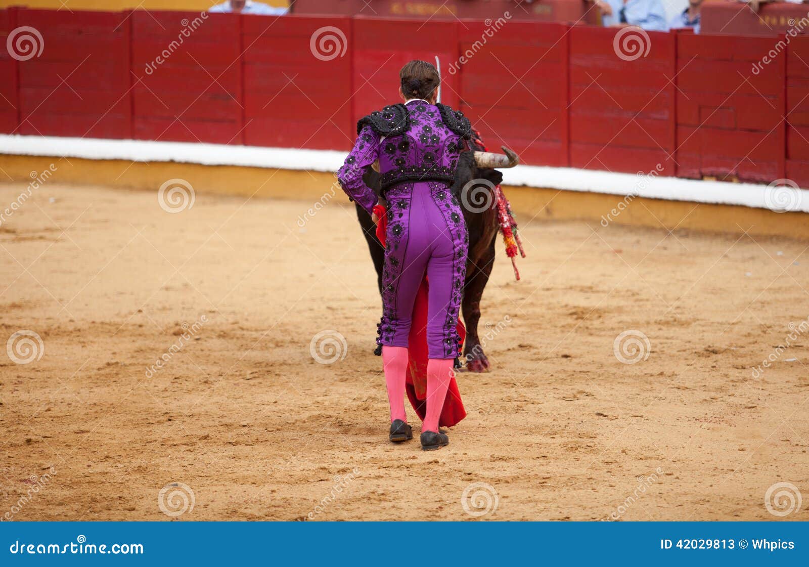 Dead third editorial stock photo. Image of bull, toreador - 42029813