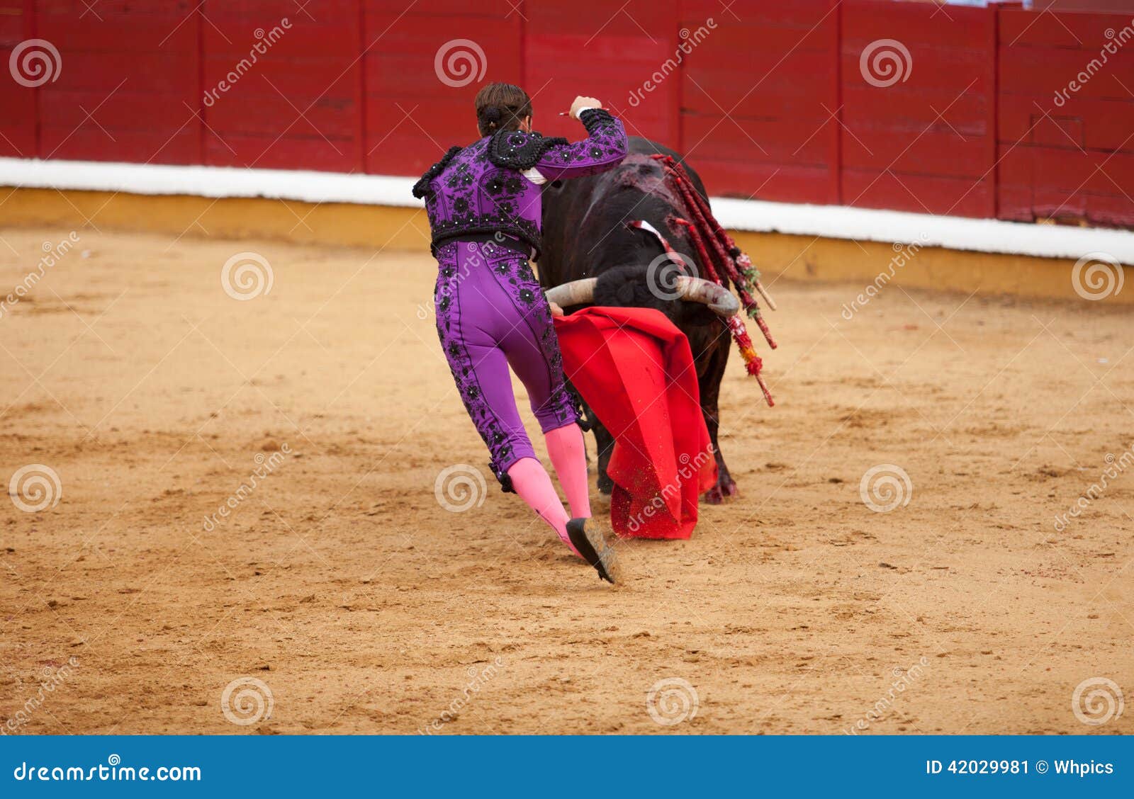 Dead third editorial photo. Image of cape, sand, bullfighter - 42029981