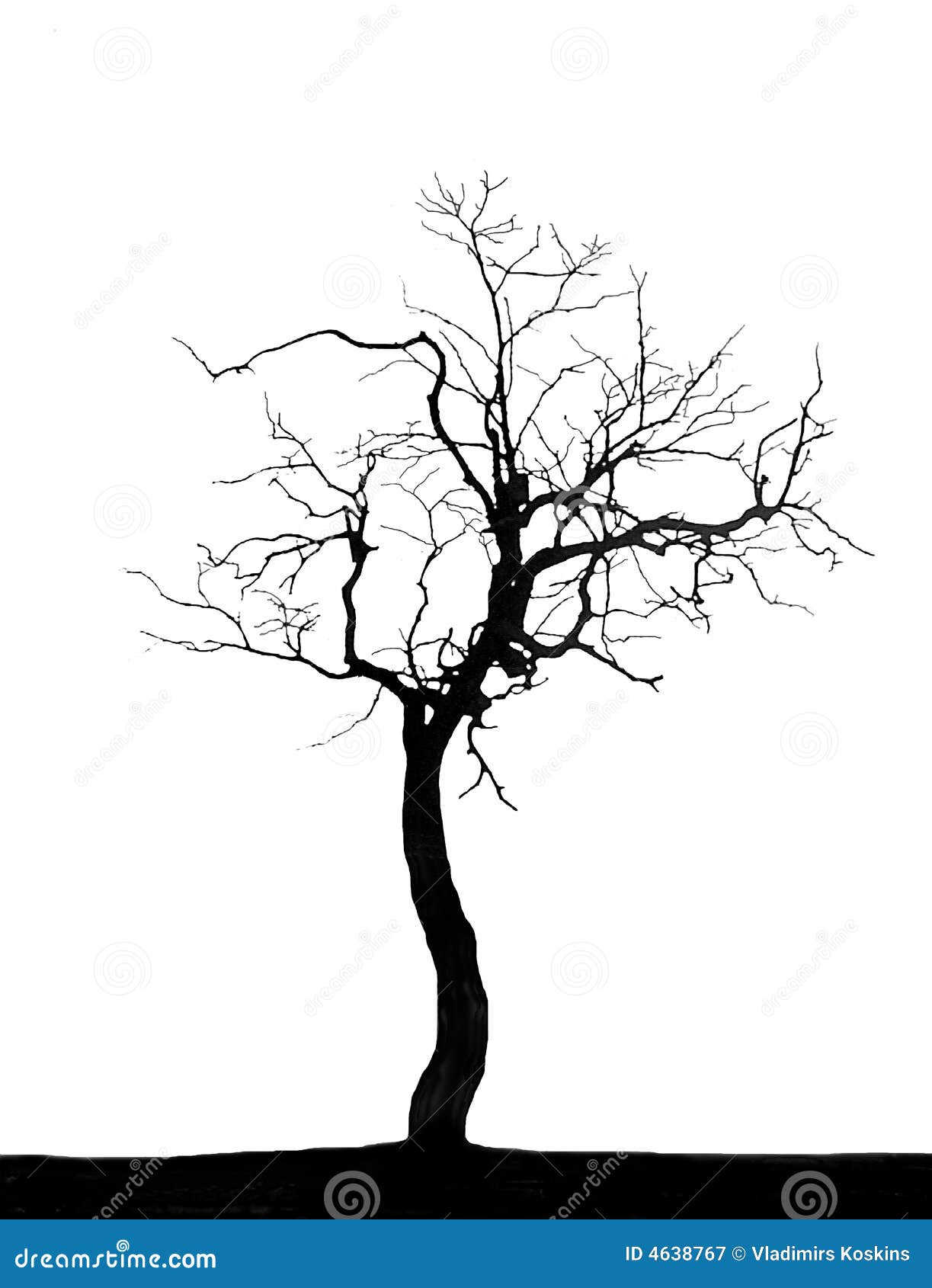 Dead Forest Silhouette