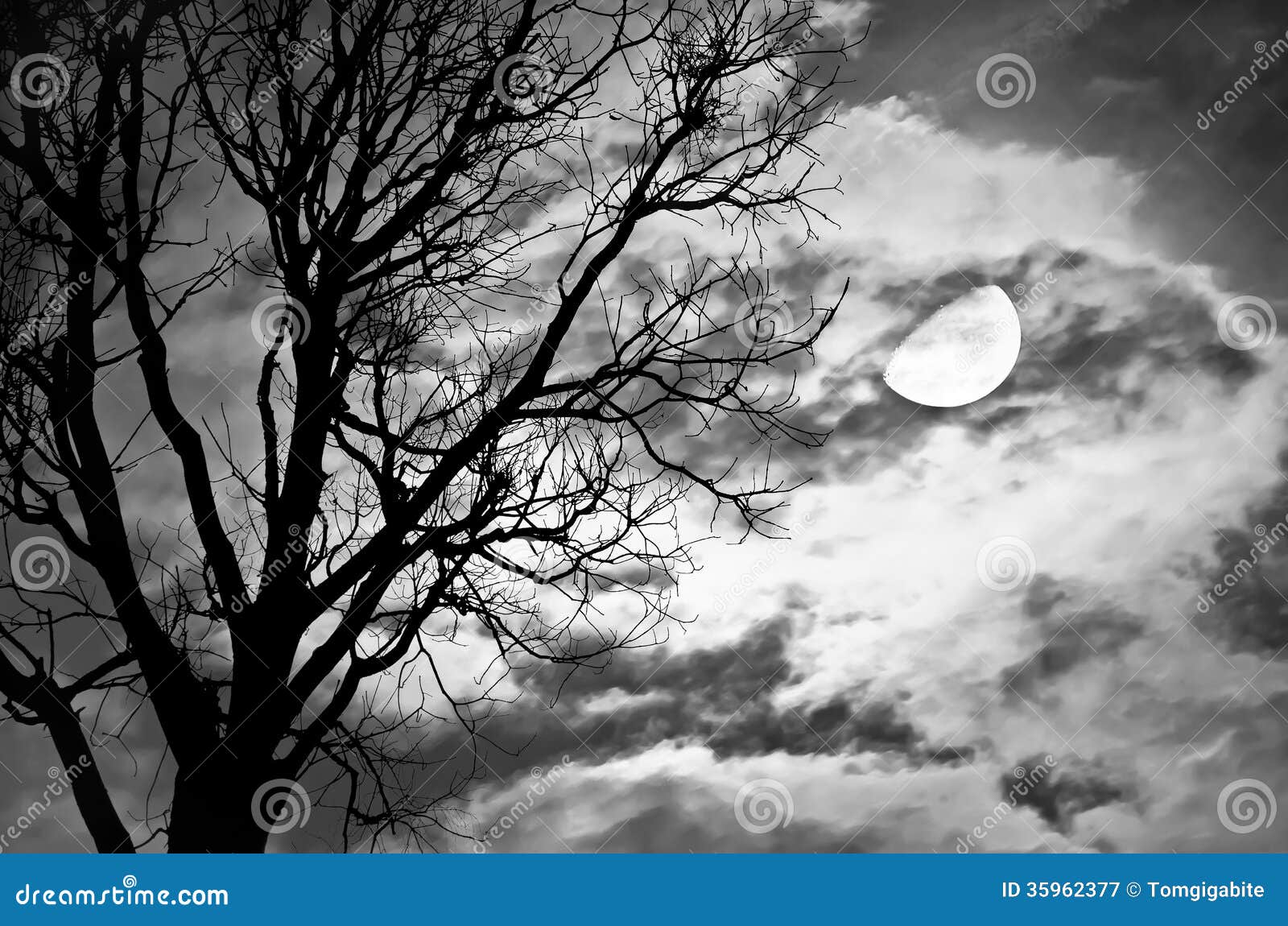 Dead Tree Against Moon and Clouds Stock Image - Image of grave, gothic ...