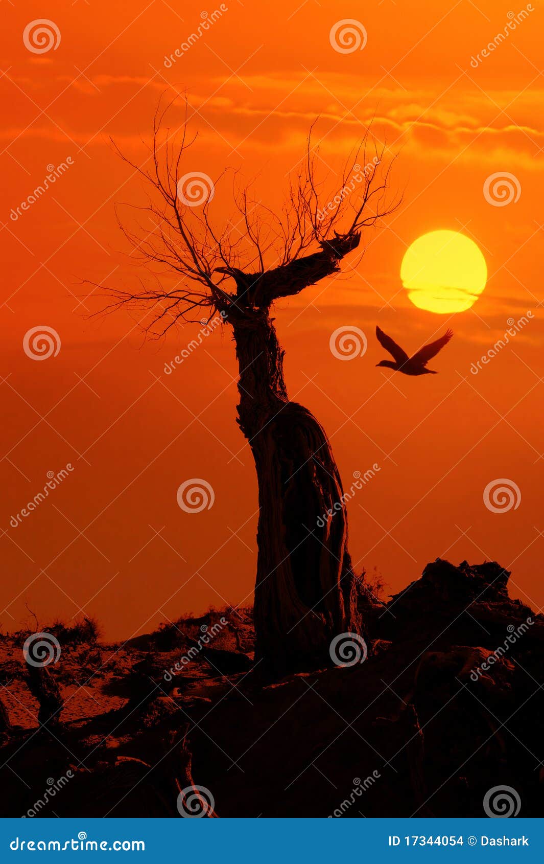 Death Tree Against Sunlight Over Sky Background Sunset Photos - Free ...