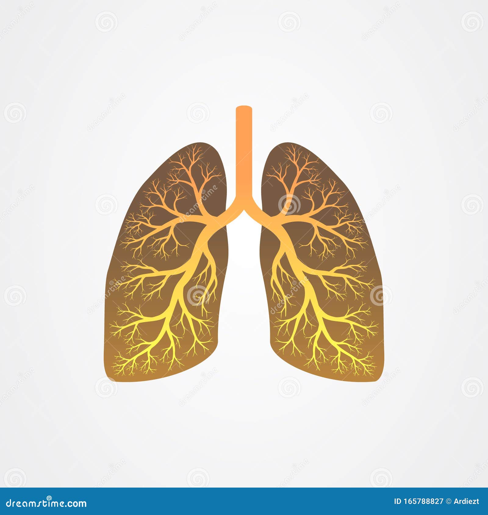 Dead Tree Branches and Human Lungs Vector Illustration Stock Vector ...