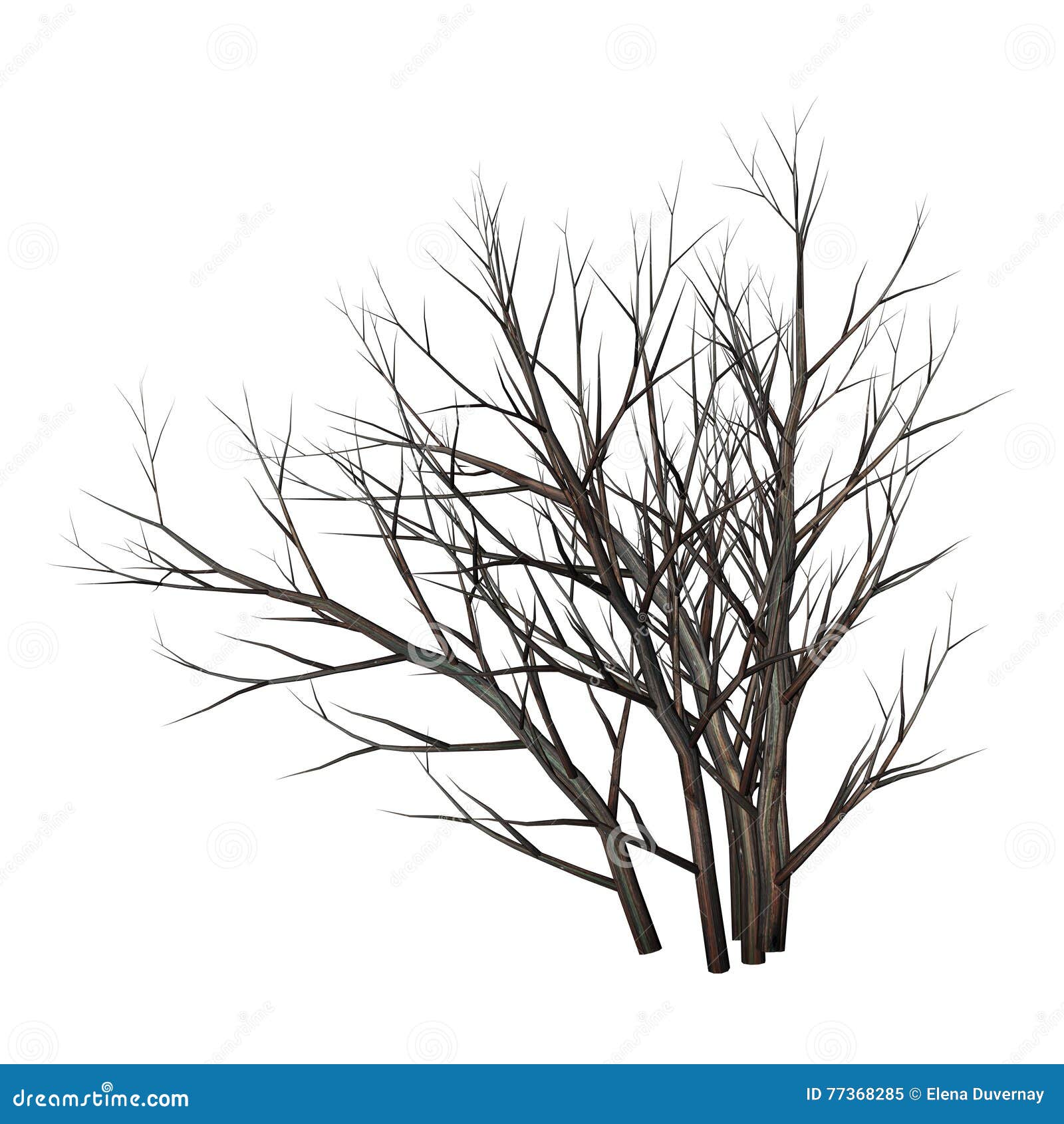 Dead Tree Bush by Night - 3D Render Stock Illustration - Illustration ...