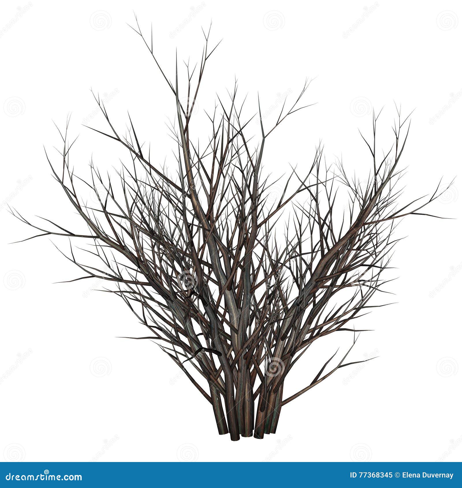 Dead Tree Bush by Night - 3D Render Stock Illustration - Illustration ...