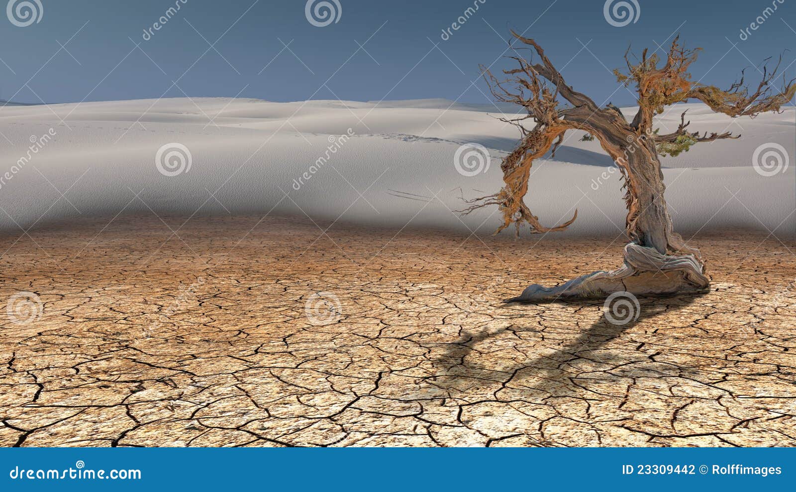 Dead Tree in Desert stock illustration. Illustration of horizon - 23309442
