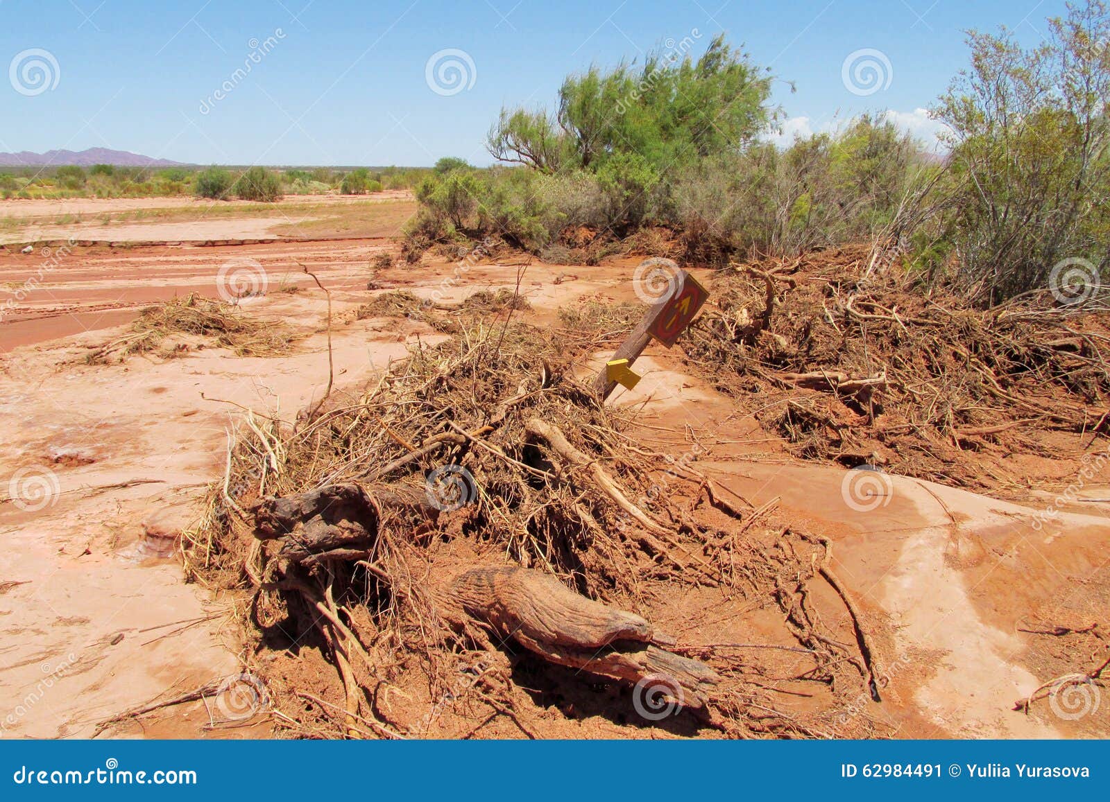 Dead Tree at the Dry River Mud Stock Image - Image of aboriginal ...
