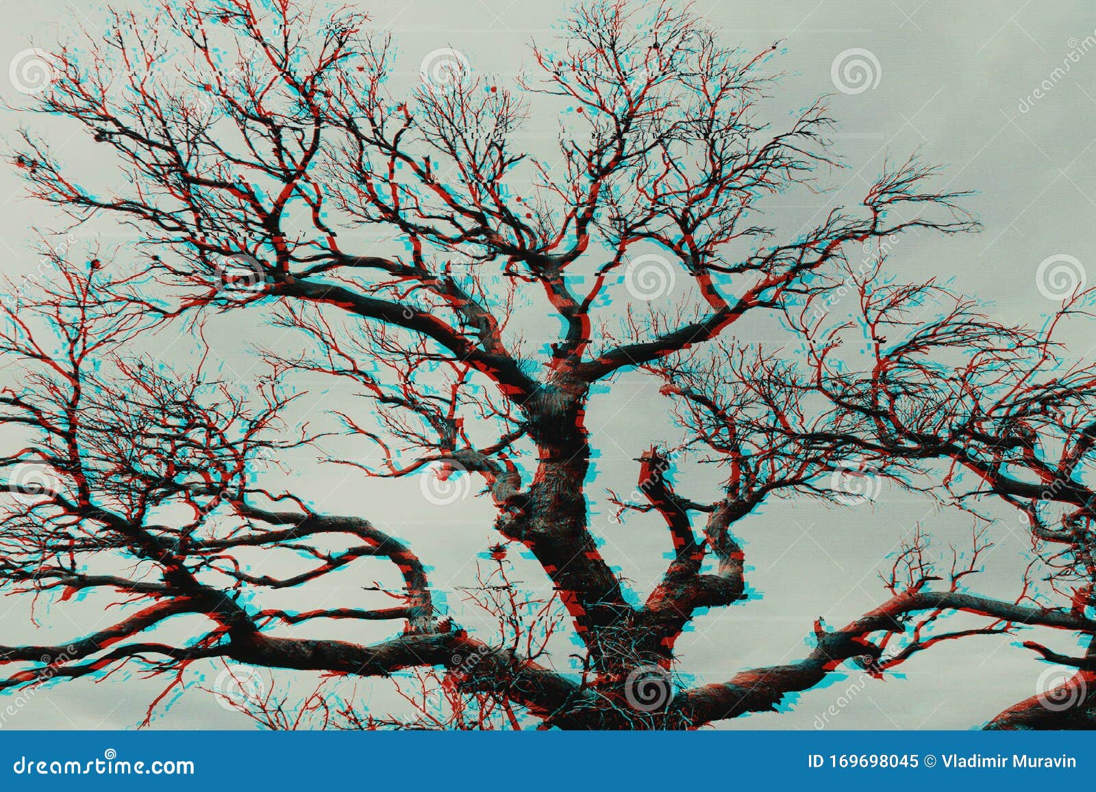 Dead tree in glitch effect stock image. Image of emergency - 169698045