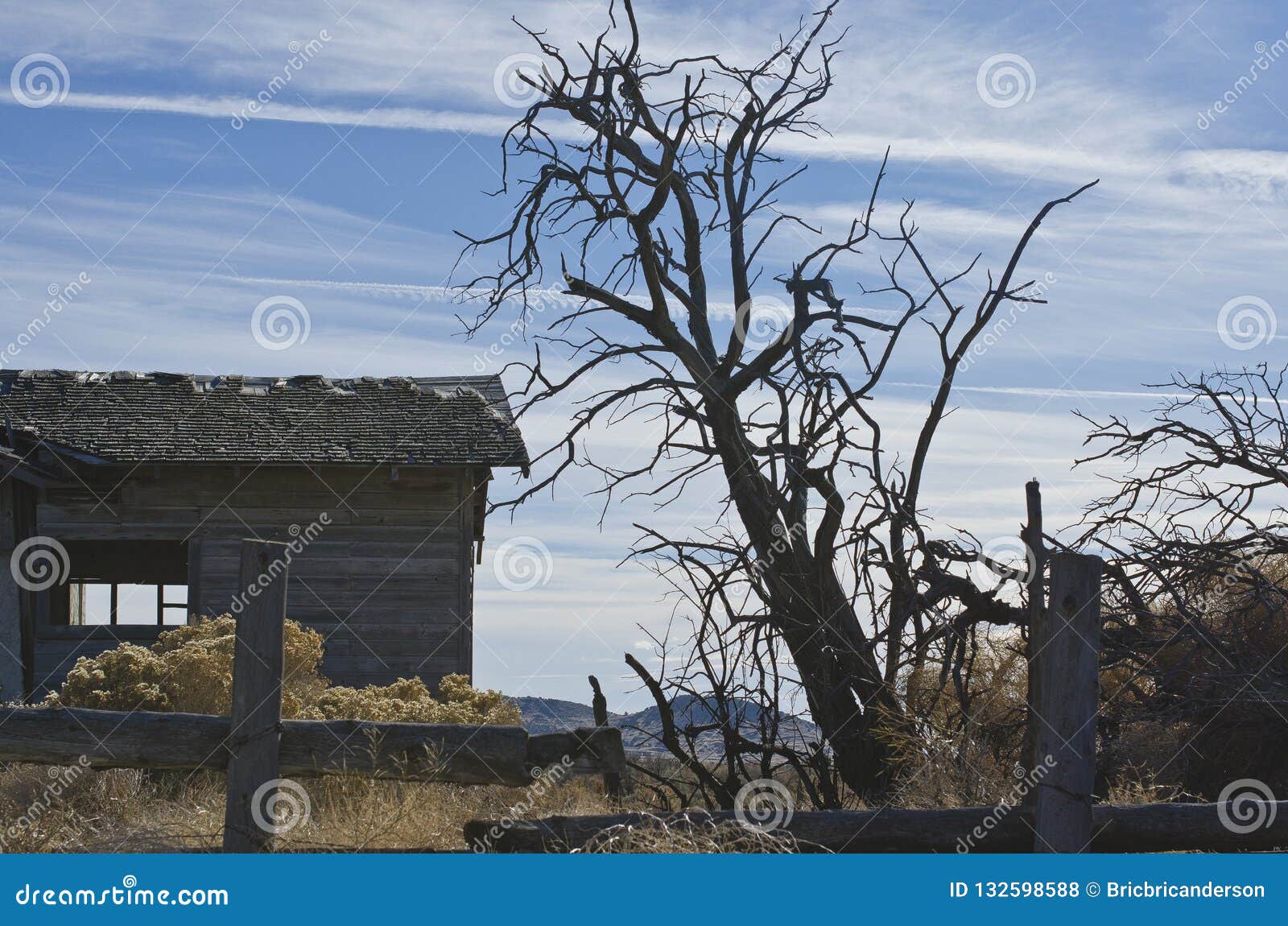 The Dead Tree in Front of the Old Home Stock Photo - Image of grassland ...