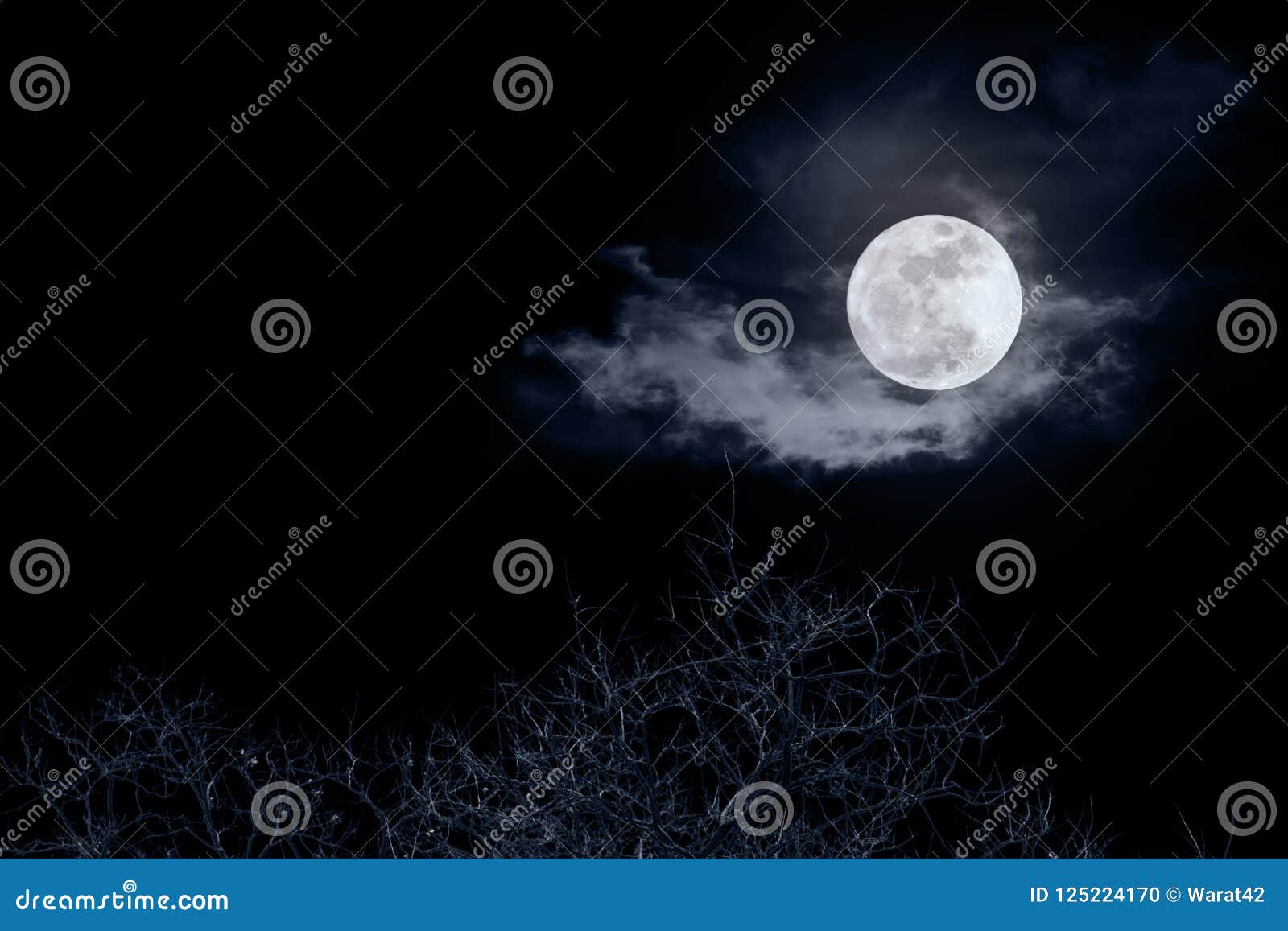 Dead Tree with Full Moon in Night Time Stock Photo - Image of nature ...