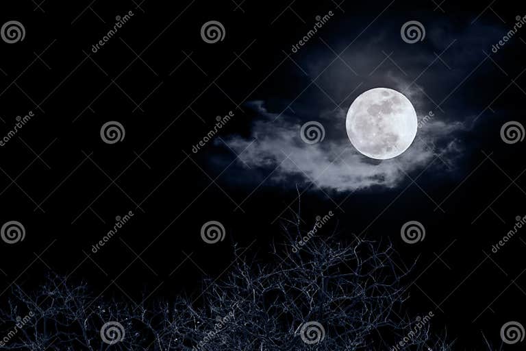 Dead Tree with Full Moon in Night Time Stock Photo - Image of nature ...