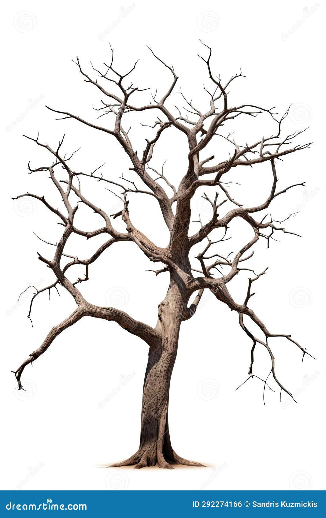 Dead Tree Isolated on White Background. Generative AI Stock ...