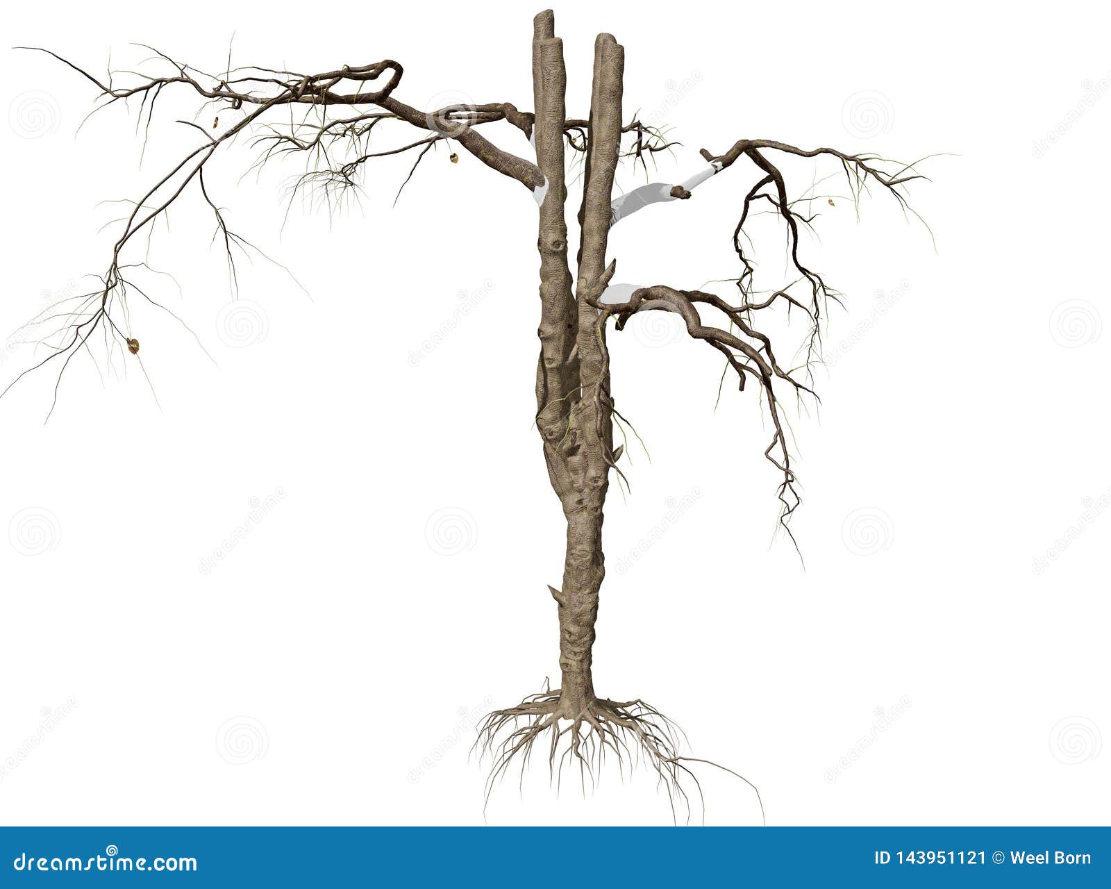 Dead Tree Isolated Over a White Background Stock Illustration ...