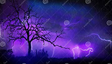 Dead tree and lightning stock image. Image of dark, environmental ...