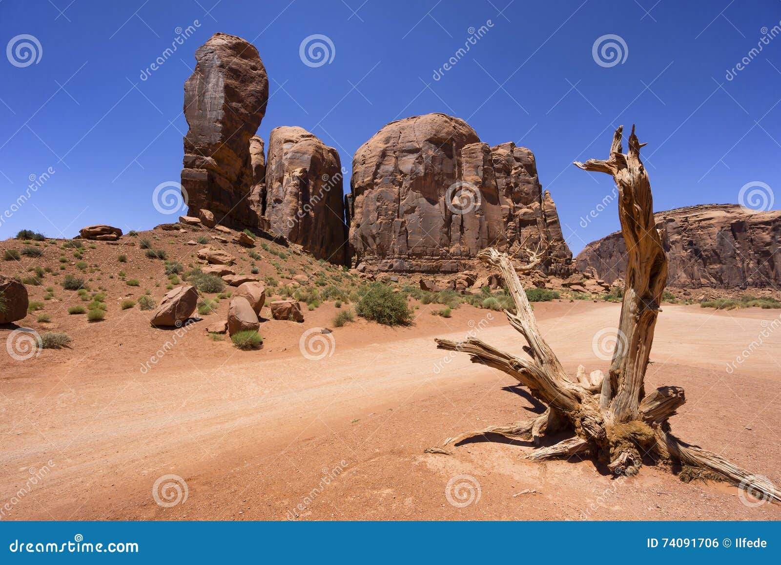 Dead Tree and Rock Formation in Monument Valley, USA Stock Photo ...