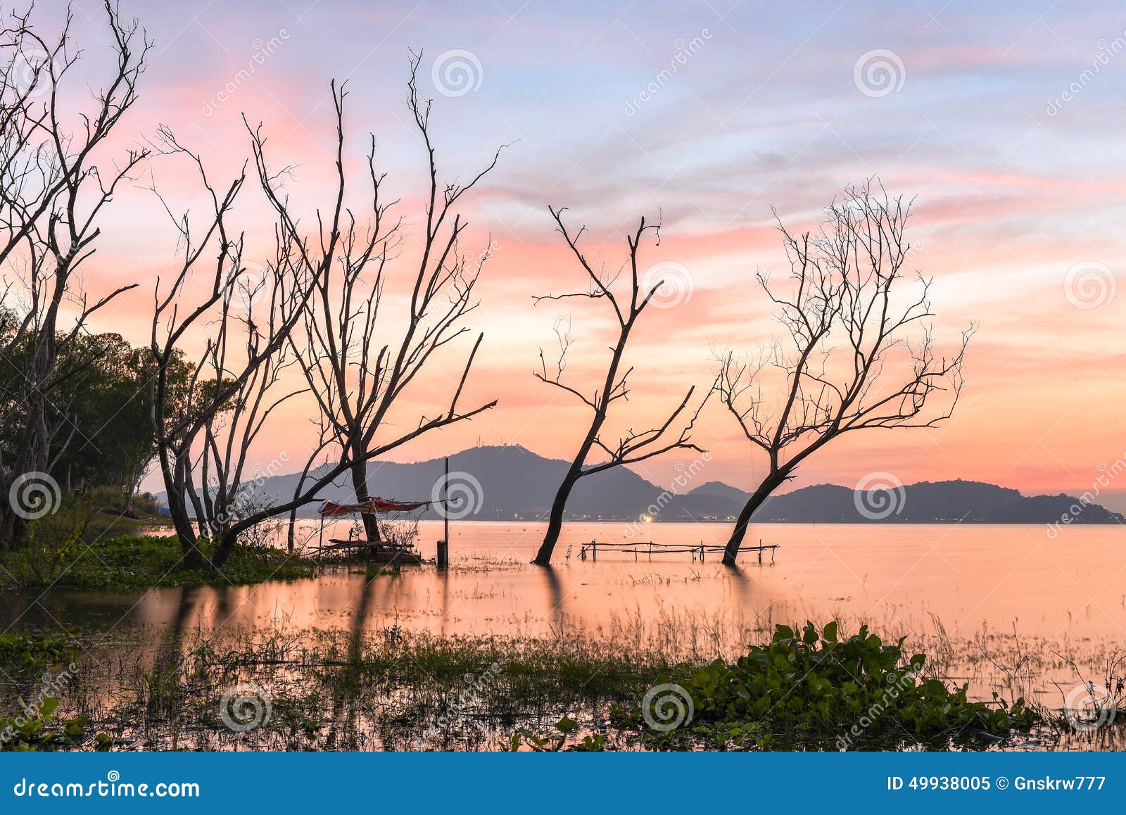 Dead Tree Standing with the Sunset Sky Stock Image - Image of beauty ...