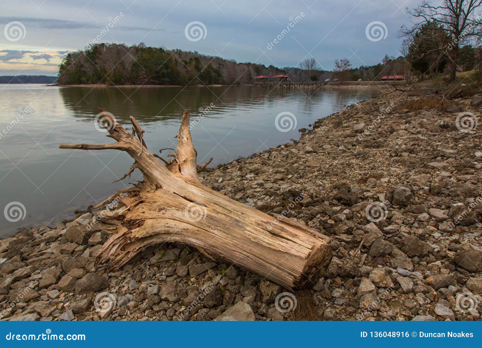 Dam and Dead Tree Stump stock photo. Image of tree, hills - 136048916