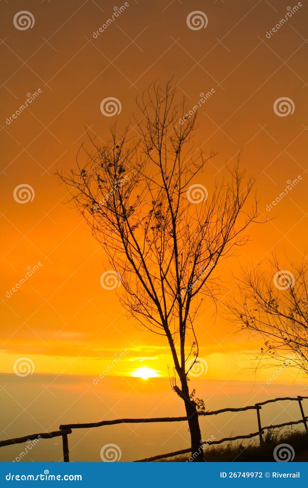 Dead tree in sunset stock photo. Image of mountain, rural - 26749972